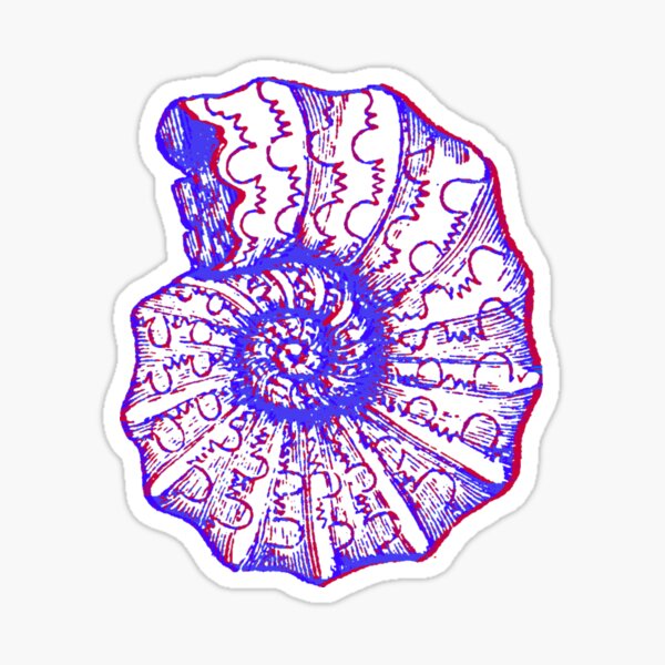 " Fossil Ammonite" Sticker by BronikowskiART | Redbubble