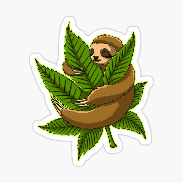"Bun Weed Sloth" Sticker by Pstawicki | Redbubble