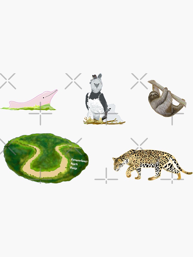 "Amazon river stickers & magnets" Sticker by 324Art | Redbubble