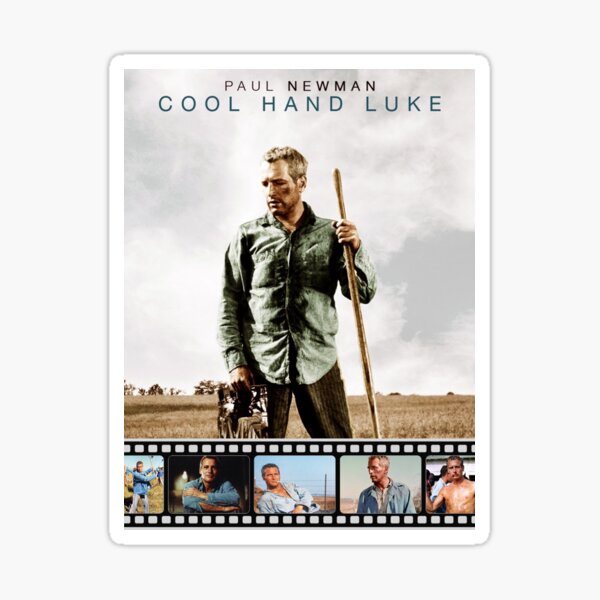 "Cool Hand Luke Poster" Sticker for Sale by Kingbadum98 | Redbubble