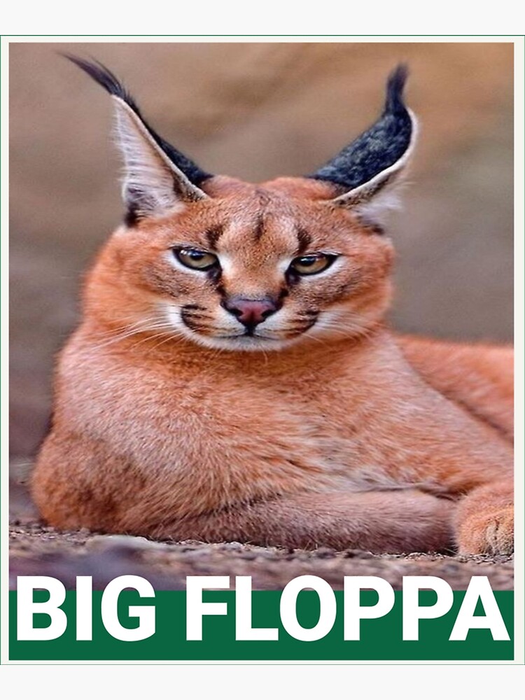"BIG FLOPPA " Poster for Sale by SnazzyStockssds | Redbubble