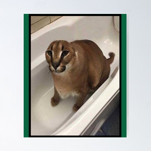 "Big Floppa " Poster for Sale by SnazzyStockssds | Redbubble