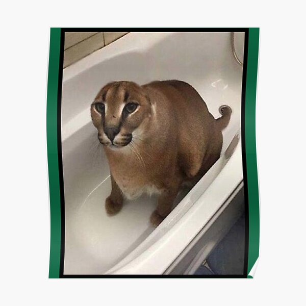 "Big Floppa " Poster for Sale by SnazzyStockssds | Redbubble