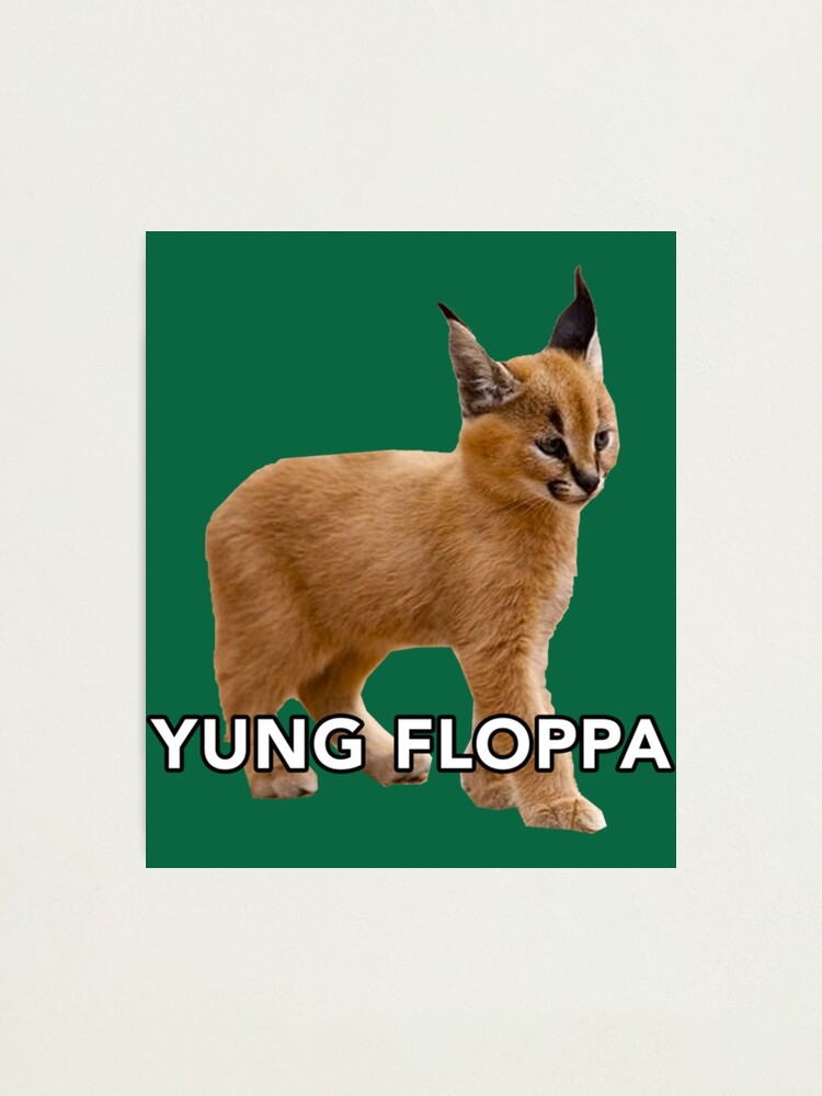"Yung Floppa Peeker Meme späht Big Lil Floppa Baby Caracal" Fotodruck ...