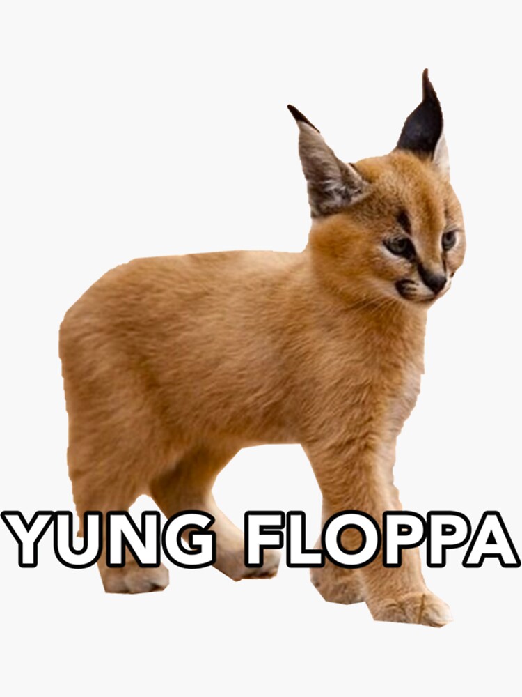 "Yung Floppa Peeker Meme späht Big Lil Floppa Baby Caracal" Sticker von ...