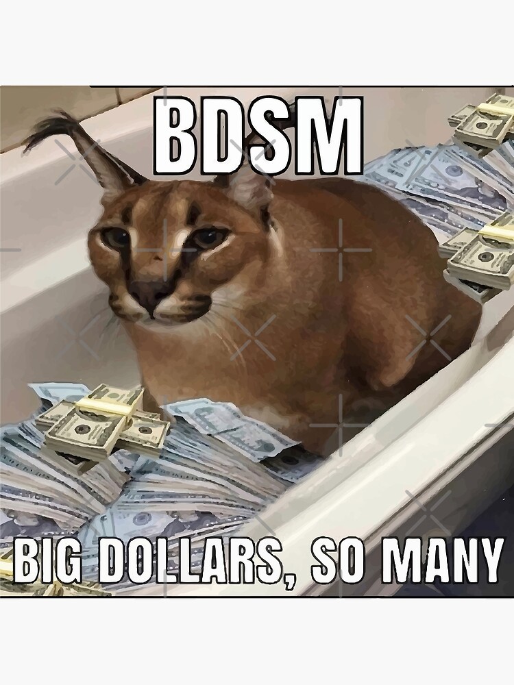 "BDSM Big Floppa Big Dollars So Many" Poster by humanrightshirt | Redbubble