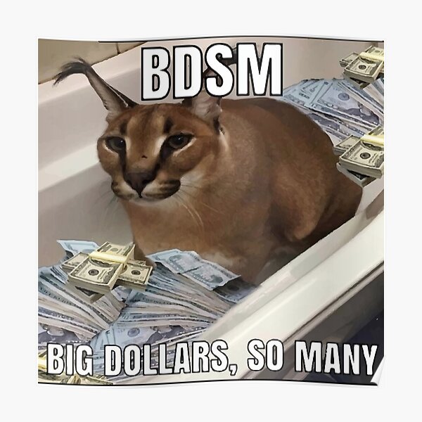 "BDSM Big Floppa Big Dollars So Many" Poster by humanrightshirt | Redbubble