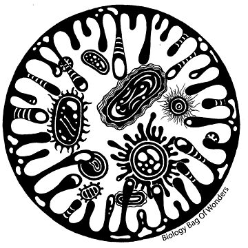 "Gut flora, Abstract gut microbiome" Poster for Sale by biology-bag ...