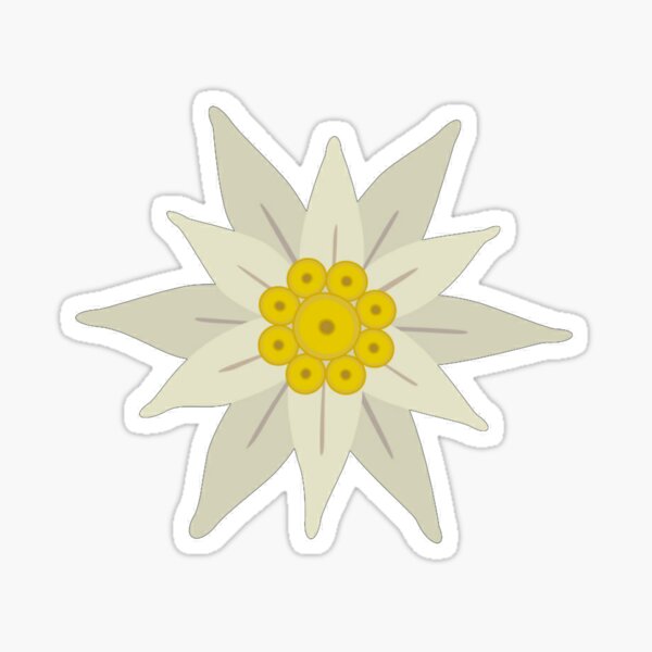 "Swiss Edelweiss flowers" Sticker by guessalred | Redbubble