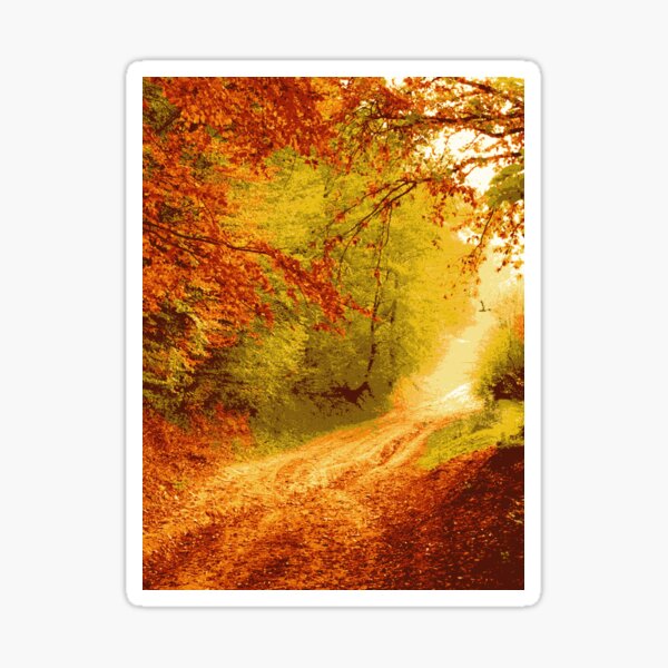 "Dry Leaves Forest - Landscape" Sticker by Aleksander37 | Redbubble