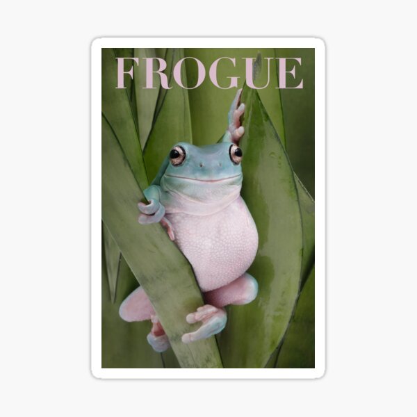 "HD Frogue Internet Meme Frog Fashion" Sticker by fomodesigns | Redbubble