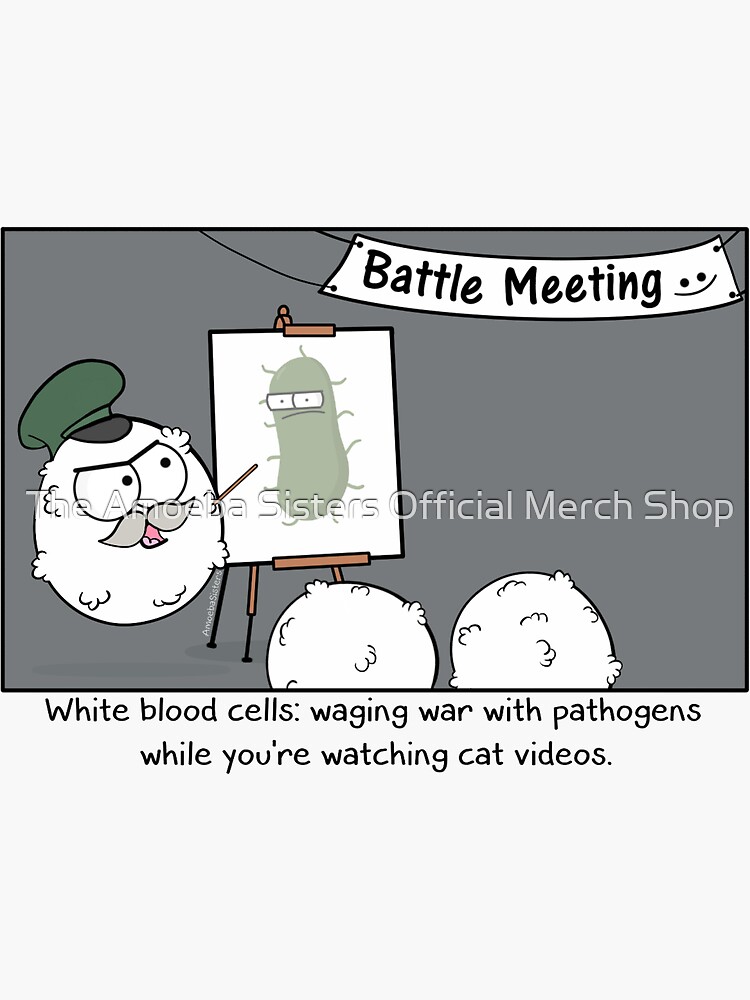 Blood Cell Memes White Blood Cells Battle Meeting Biologist Funny'