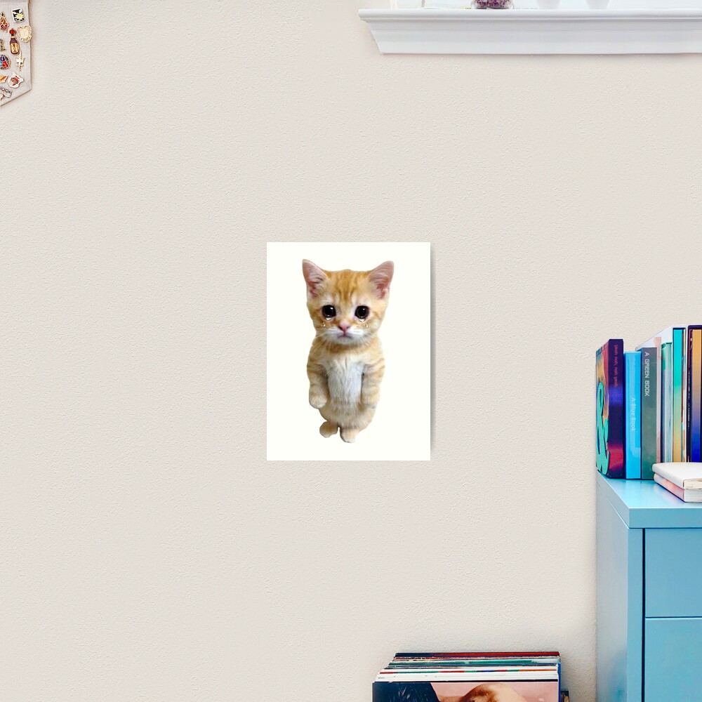 "HQ Sad Crying Cat Standing Up Meme" Photographic Print for Sale by ...
