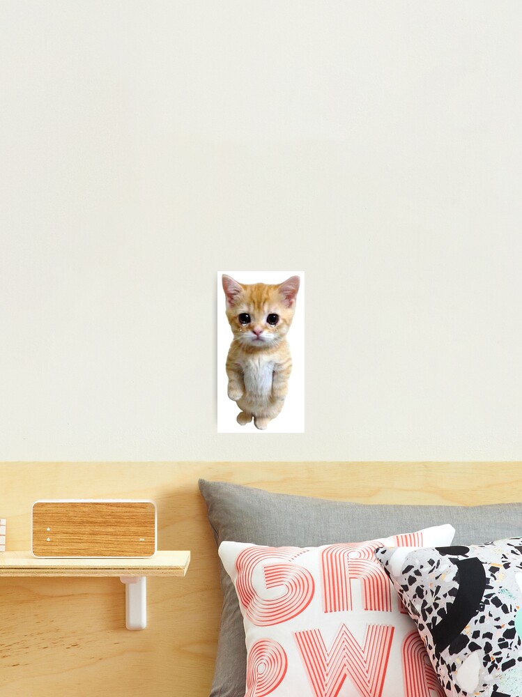 "HQ Sad Crying Cat Standing Up Meme" Photographic Print for Sale by ...