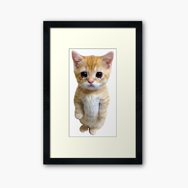 "HQ Sad Crying Cat Standing Up Meme" Framed Art Print for Sale by ...