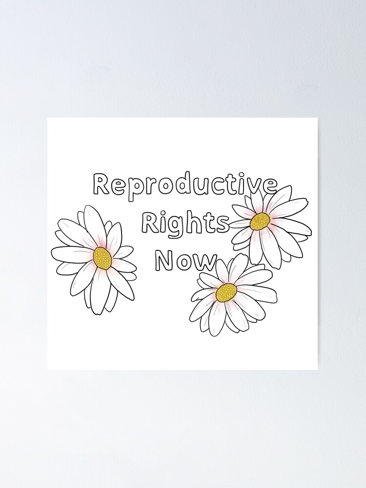 "Reproductive Rights Now!" Poster for Sale by Gender-Queerdo | Redbubble