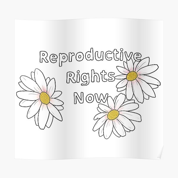 "Reproductive Rights Now!" Poster for Sale by Gender-Queerdo | Redbubble