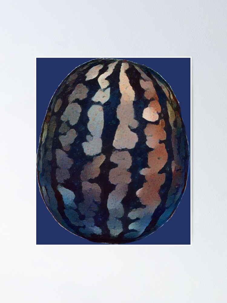 "Blue Watermelon" Poster for Sale by jadediamondsoul | Redbubble