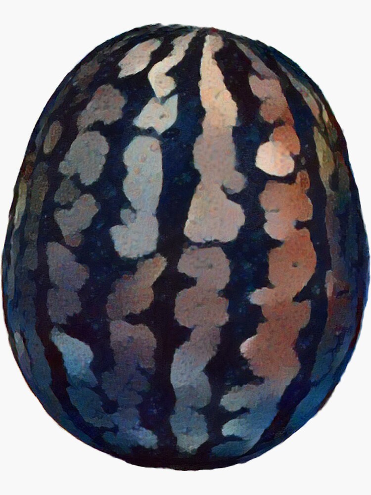 "Blue Watermelon" Sticker by jadediamondsoul | Redbubble
