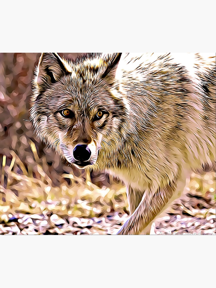 "Strong and beautiful wolf" Sticker for Sale by Hamza-has | Redbubble