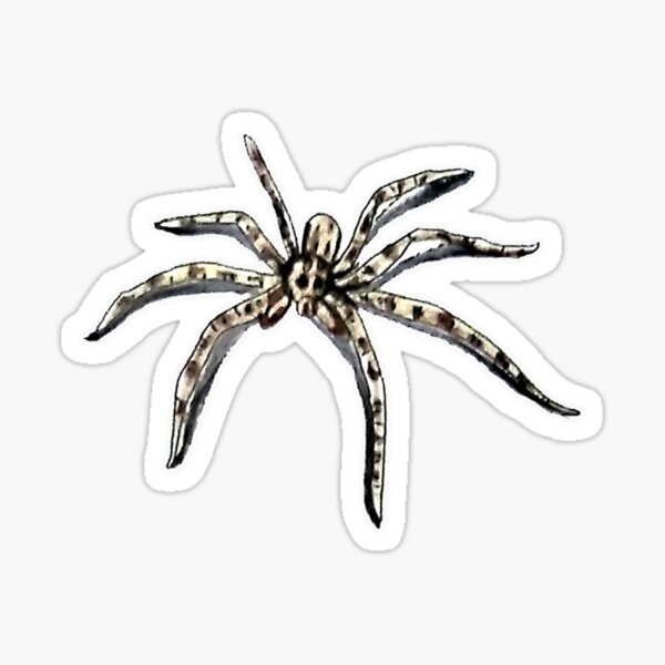 "Huntsman Spider" Sticker for Sale by PhoSume | Redbubble