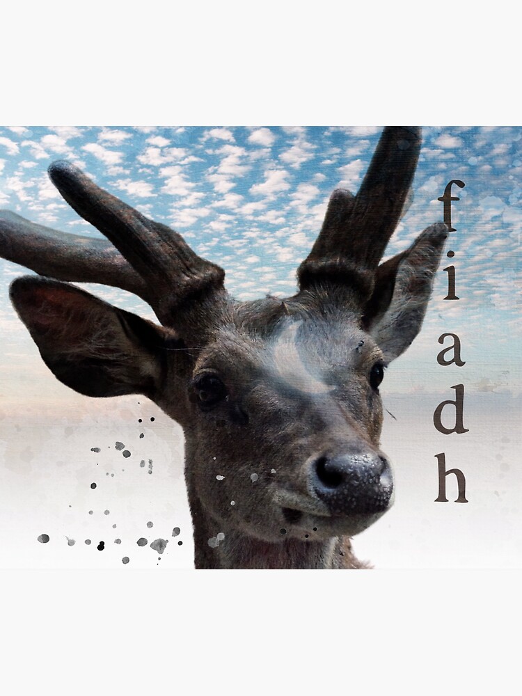 "Fiadh (Deer)" Sticker by -Shari- | Redbubble