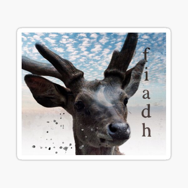 "Fiadh (Deer)" Sticker by -Shari- | Redbubble