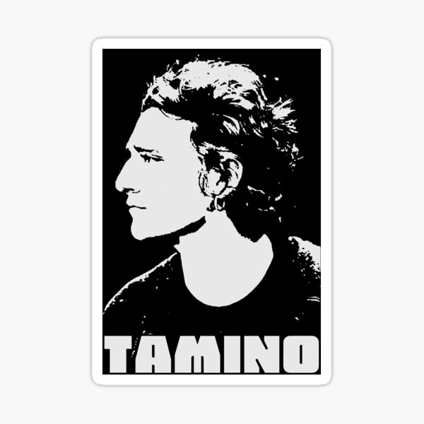 "Tamino Amir" Sticker by SkyAfterDusk | Redbubble