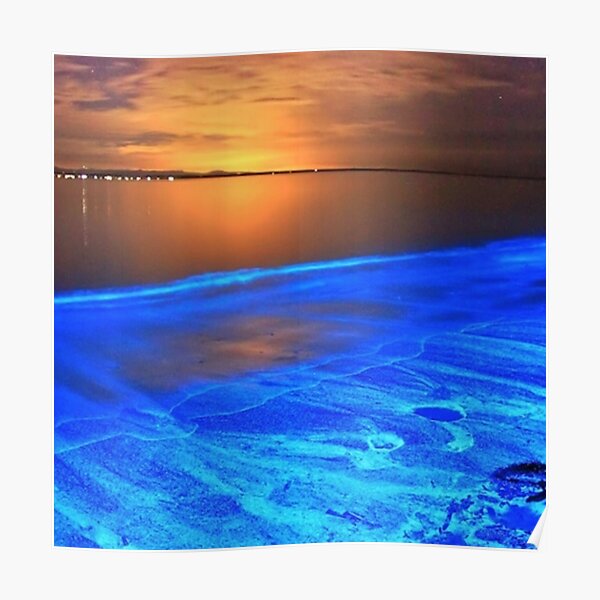 "What a Wonderful World" Poster by CountryPigeon | Redbubble