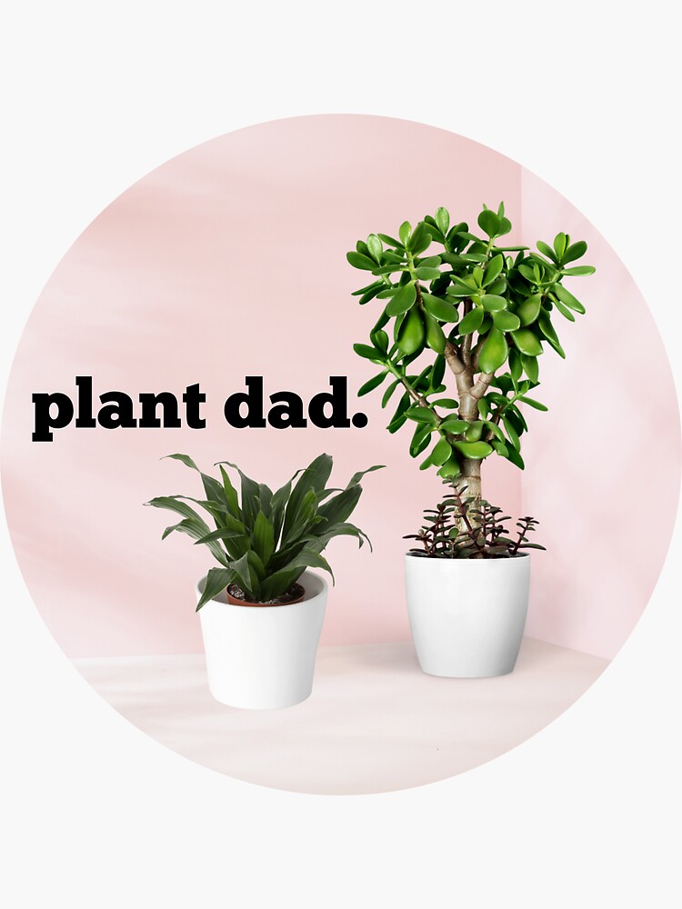 "Plant Dad Plant Lovers Pink Houseplants Funny" Sticker by ...