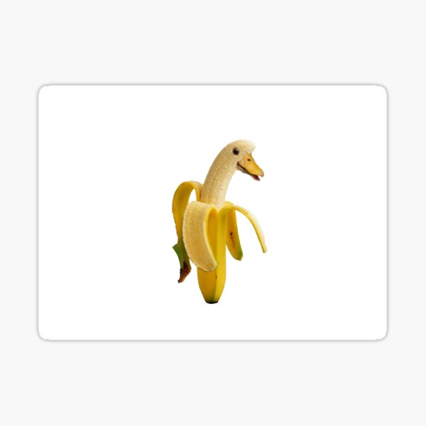 "Banana Meme" Sticker for Sale by BrizzyArt | Redbubble