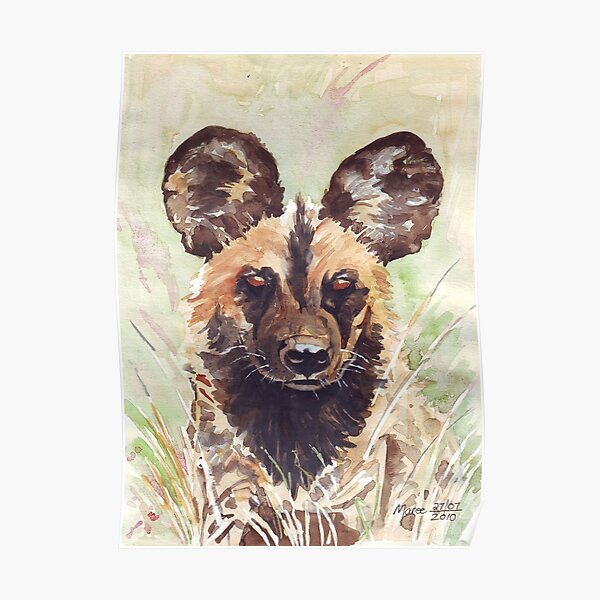 "African Wild Dog" Poster for Sale by MareeClarkson | Redbubble