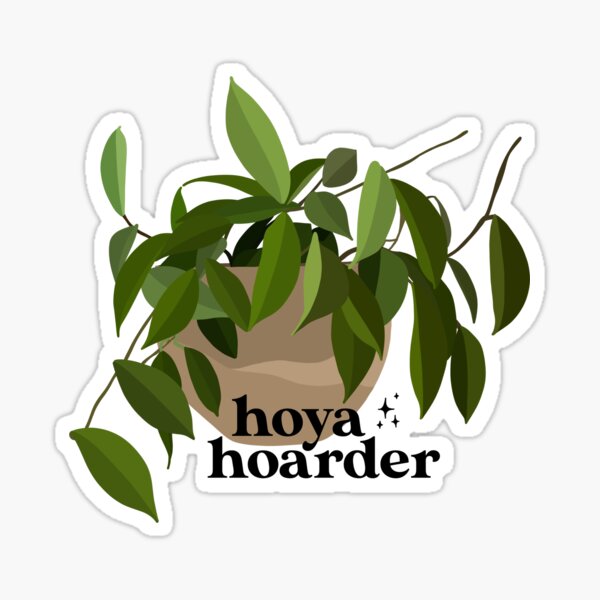 "Hoya Hoarder" Sticker by BlossomArtAve | Redbubble