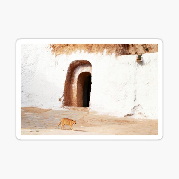 "A cat in a troglodyte village in Tunisia" Sticker by SaraSanchezFOTO ...