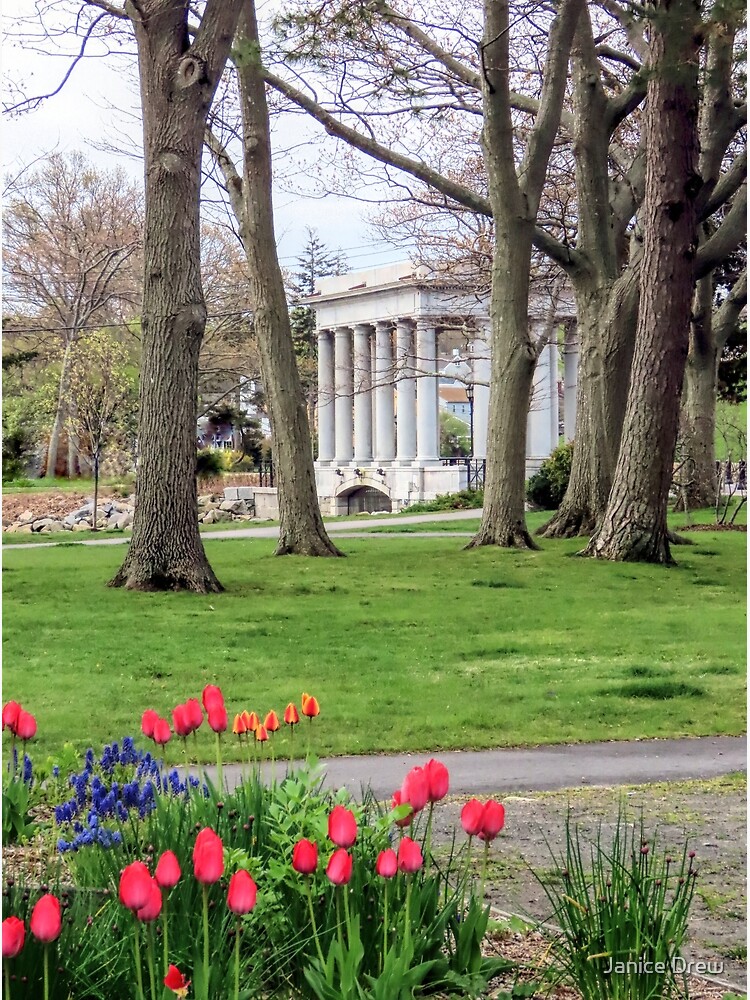 "Plymouth Rock canopy spring " Poster for Sale by JanSDrew | Redbubble