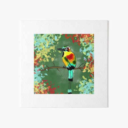 "Colorful Torogoz" Art Board Print by SalviThings | Redbubble