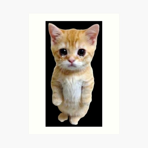 "HQ Crying Cat Standing Up Meme" Art Print for Sale by fomodesigns ...