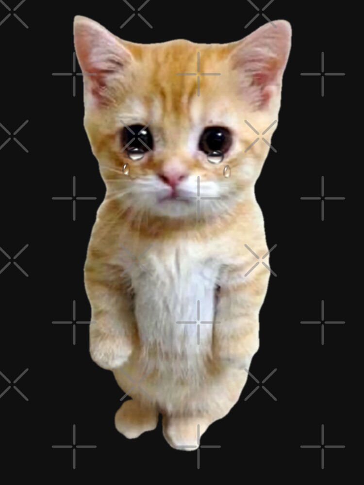 "HQ Crying Cat Standing Up Meme" T-shirt for Sale by fomodesigns ...