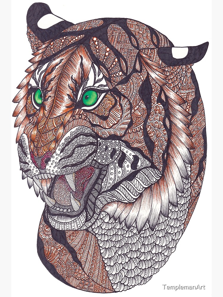"Zentangle Art Snarling Sumatran Tiger" Canvas Print for Sale by ...
