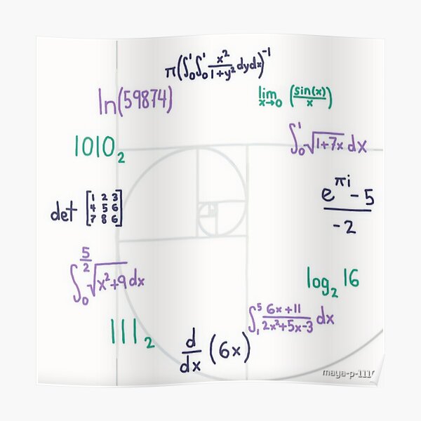 "Calculus Math Design" Poster for Sale by maya-p-1110 | Redbubble