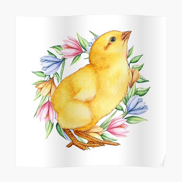 Póster «Lindo pollito amarillo en una corona azul y rosa: ilustración ...