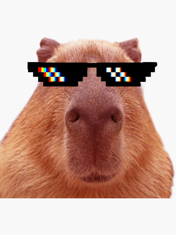 "Capybara Swag " Sticker for Sale by stuuby | Redbubble
