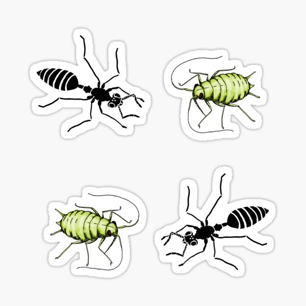 "Ants and Aphids" Sticker for Sale by spineless-art | Redbubble