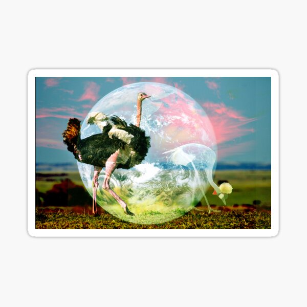 "Ostrich" Sticker for Sale by Malik-Designs | Redbubble
