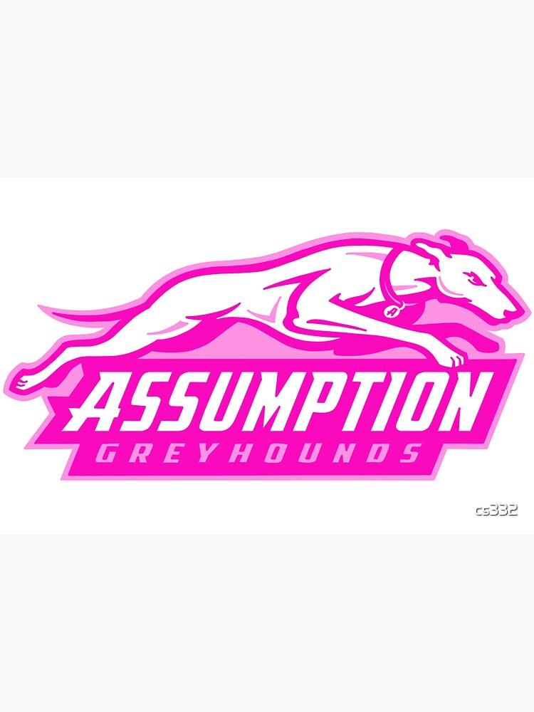 "Assumption College Pink Logo" Sticker by cs332 | Redbubble