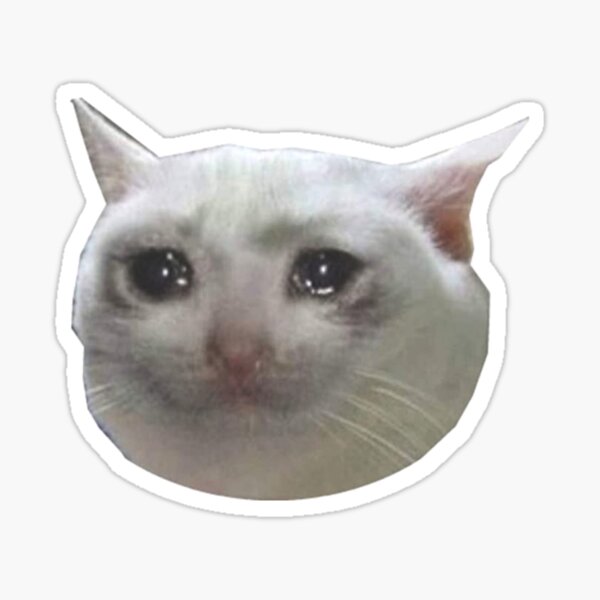 "Crying cat" Sticker for Sale by Flora22 | Redbubble
