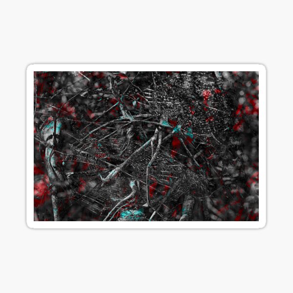 "What a Tangled Web We Weave" Sticker for Sale by SFlickPix | Redbubble