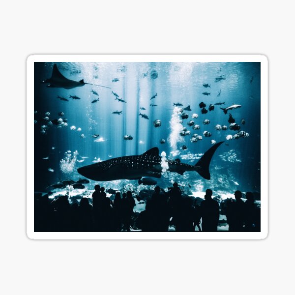 "Aquarium" Sticker by BaddiesUniverse | Redbubble