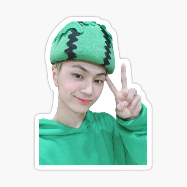 "Watermelon Jay" Sticker by holandmol | Redbubble