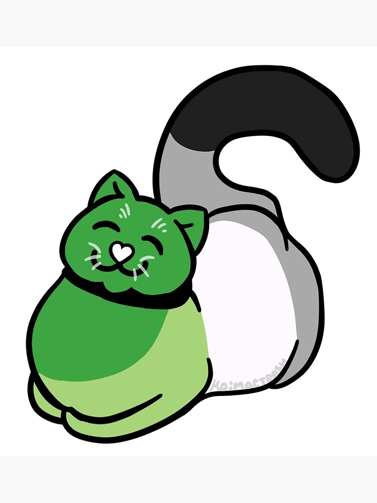 "Aromantic Pride Flag Cat" Poster for Sale by KaiMacTrash | Redbubble